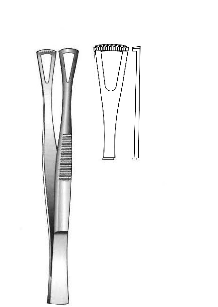 Pinza para disección Duval premium - longitud = 14.5 cm / 5-1/2 ...